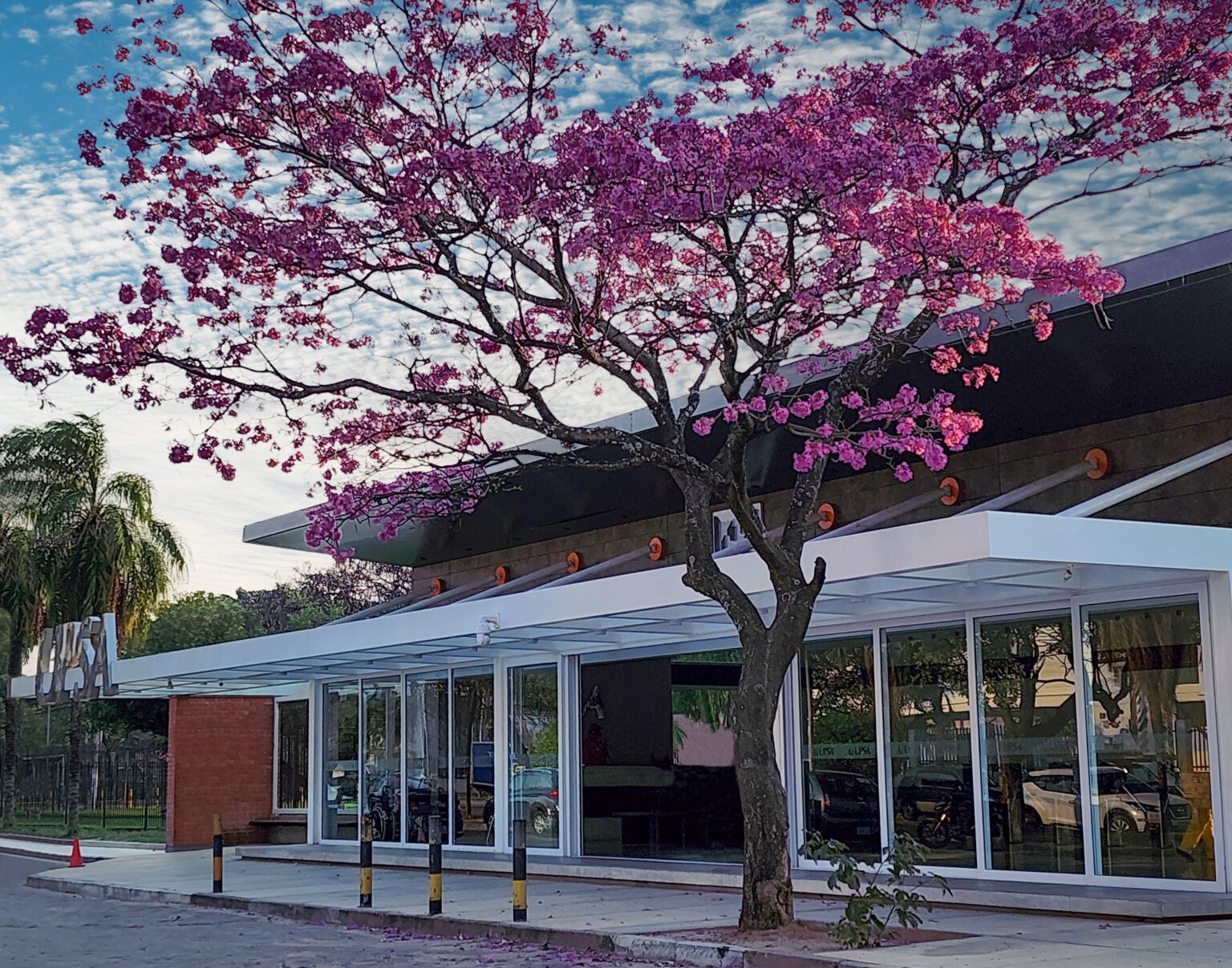 Campus Universitario - UPSA